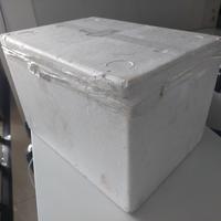 Jual Box Styrofoam Bekas Terbaik - Harga Murah Mei 2024 & Cicil 0%