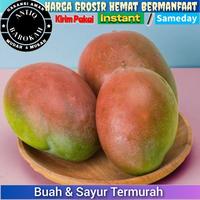 Jual Mangga Brazil Terdekat - Harga Murah & Grosir Juni 2024