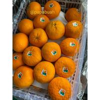 Jual Jeruk Wogan Terdekat - Harga Murah & Grosir Oktober 2025