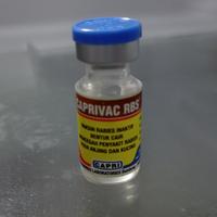 Jual Vaksin Rabies Terlengkap & Terbaik - Harga Murah Juni 2024