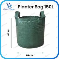 Jual Pot Tanaman 60 Cm Terbaik - Harga Murah Mei 2024 & Cicil 0%