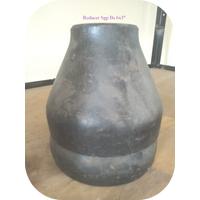 Jual Reducer 6 X 3 Terbaik - Harga Murah Juni 2024 & Cicil 0%