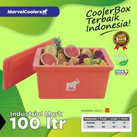 Jual Coolbox Murah & Terbaik - Harga Terbaru Mei 2024