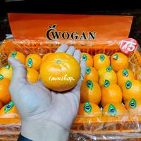 Jual Jeruk Wogan Terdekat - Harga Murah & Grosir Mei 2024