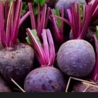 Buah Bit Harga Termurah & Grosir - Pilihan Terlengkap