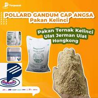 Jual Pollard Gandum Cap Angsa Terlengkap & Terbaik - Harga Murah Juni 2024