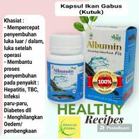 Jual Albumin Fit Juni 2024 Harga Termurah - Cicil 0% 3x di Tokopedia