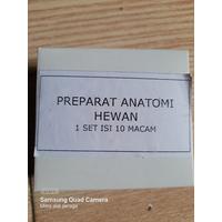 Jual Preparat Murah - Harga Terbaru Oktober 2025