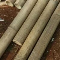 Jual Bambu Batangan Terbaik - Harga Murah Desember 2024 & Cicil 0%