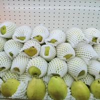 Jual Pear Xiang Lie Murah - Harga Terbaru 2024