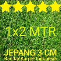 Jual Rumput Jepang Per Meter Terbaik - Harga Murah April 2024 & Cicil 0%