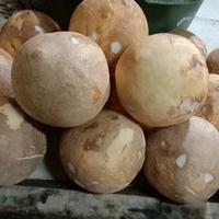Jual Kelapa Parut Segar Terlengkap - Harga Terbaru Juni 2024 & Cicilan 0%