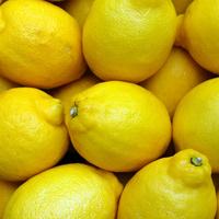 Jual Lemon 1 Kg Terdekat - Harga Murah & Grosir Januari 2025