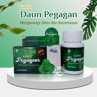 Jual Daun Pegagan Murah - Harga Terbaru Mei 2025