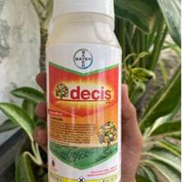 Jual Decis 500Ml Terlengkap & Terbaik - Harga Murah Juni 2024