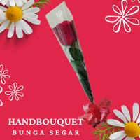 Bunga Mawar 1 Tangkai Indah & Romantis! Terbaru Juni 2024
