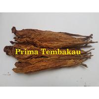 Toko Prima Tembakau Online - Produk Lengkap & Harga Terbaik | Tokopedia