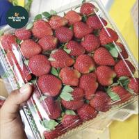 Jual Strawberry Fresh 1Kg Terlengkap - Daftar Harga April 2024 & Cicilan 0%
