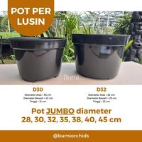 Jual Pot Tanaman Plastik Besar Terbaik - Harga Murah Mei 2024 & Cicil 0%