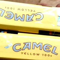 Jual Camel Yellow Long Murah - Harga Terbaru 2024