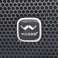 Jual Line Array Wisdom Juni 2024 Harga Termurah - Cicil 0% 3x di Tokopedia