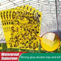 Jual Yellow Trap Terbaik - Harga Murah Mei 2025 & Cicil 0%