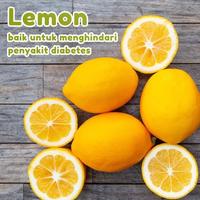 Jual Lemon 1kg Murah - Harga Terbaru 2025