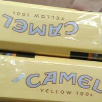 Jual Camel Yellow Long Murah - Harga Terbaru 2024