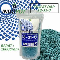 Jual Pupuk Dap Terbaik - Harga Murah Juni 2024 & Cicil 0%