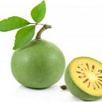 Jual Buah Berenuk Terdekat - Harga Murah & Grosir Juni 2024