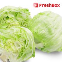 Selada Harga Termurah - Pilihan Favorit