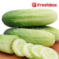 Jual Timun 1kg Murah - Harga Terbaru 2025