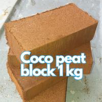 Jual Cocopeat 1Kg Terbaik - Harga Murah Mei 2024 & Cicil 0%