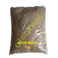 Jual Merang Padi Terdekat - Harga Murah & Grosir Mei 2024