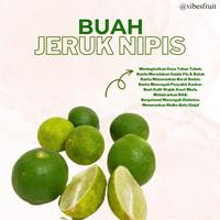 Jual Jeruk 1kg Murah - Harga Terbaru 2024