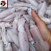 Jual Cumi Segar 1 Kg Terdekat - Harga Murah & Grosir Februari 2025