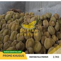 Jual Durian Montong Utuh Murah - Harga Terbaru 2024