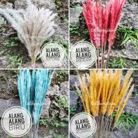 Jual Bunga Alang Alang Terlengkap - Harga Murah & Grosir Februari 2024