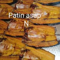 Jual Ikan Patin Hidup Terdekat - Harga Murah & Grosir Februari 2024