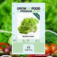 Selada Harga Termurah - Pilihan Favorit