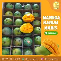 Jual Djarum 76 Mangga Murah & Terbaik - Harga Terbaru Juni 2024