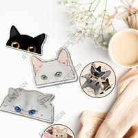 Jual Kucing Bsh Terlengkap & Terbaik - Harga Murah Desember 2024