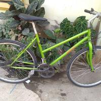 Jual Federal Lady Terlengkap - Harga Murah Mei 2024 & Cicil 0%