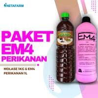 Jual Em4 Terlengkap & Terbaik - Harga Murah Januari 2025