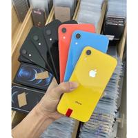 Jual Iphone Xr Inter Terbaru - Harga Murah Maret 2024 & Cicil 0%