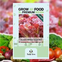 Selada Harga Termurah - Pilihan Favorit