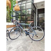 Jual Sepeda Raleigh Terbaik - Harga Murah April 2024 & Cicil 0%