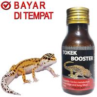 Jual Toke Murah - Harga Terbaru April 2025