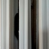 Jual Lis Gypsum Terbaik - Harga Murah Desember 2024 & Cicil 0%