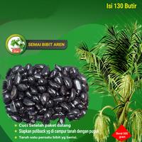 Jual Bibit Aren Terbaik - Harga Murah Juni 2024 & Cicil 0%